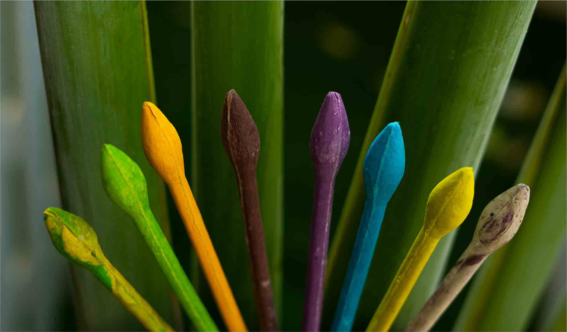 BUD Pencil Product Design - India's Best Design Awards